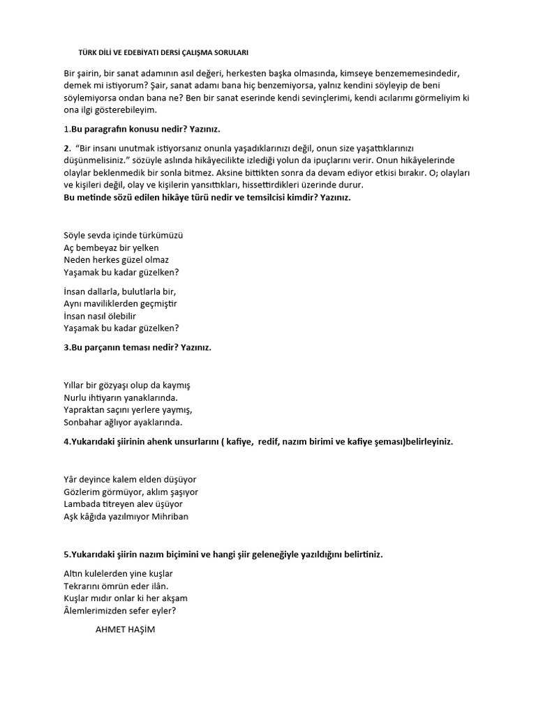 12.snf TURK DILI VE EDEBIYATI CALISMA SORULARI | PDF