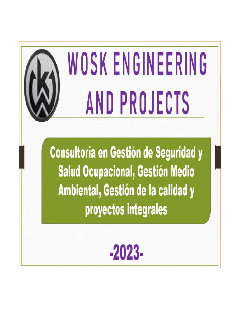 Manual de RISST - 2023 | PDF