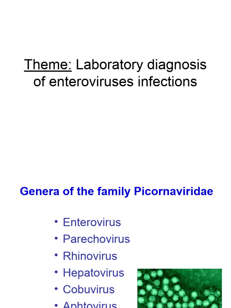 4 Picornaviruses | PDF | Wellness | Science & Mathematics