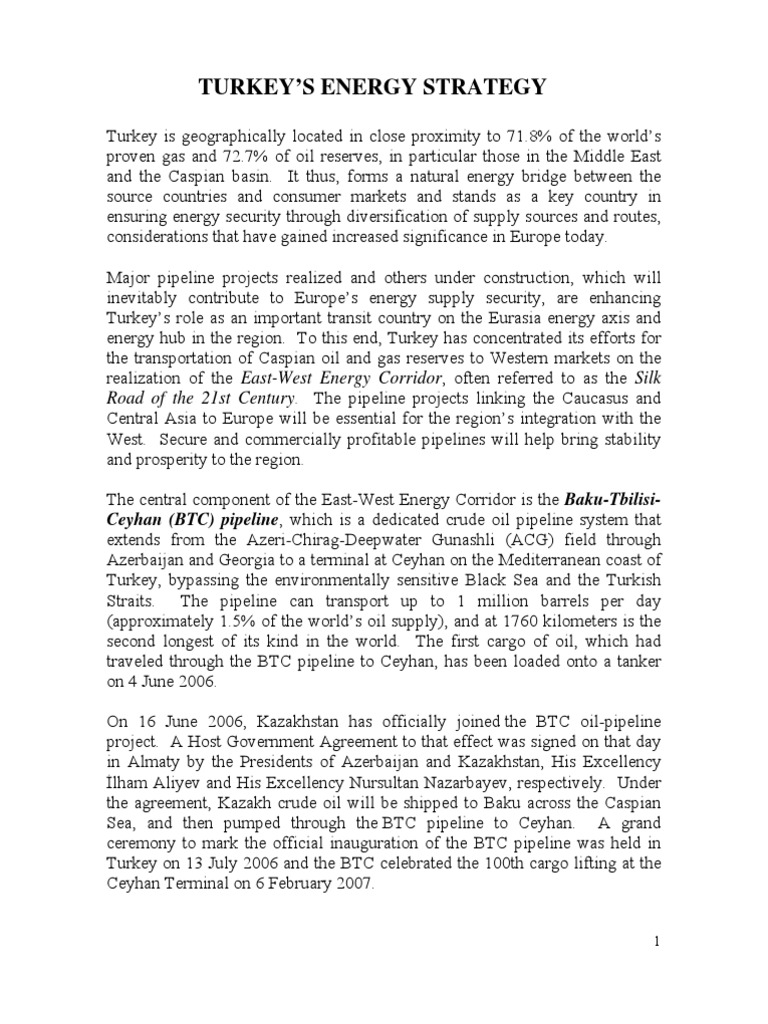 Turkeys Energy Strategy En Pdf Turkey Renewable Energy