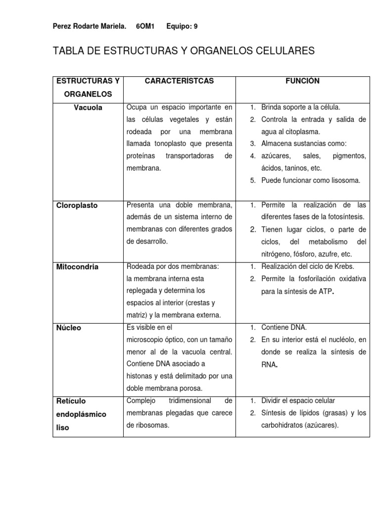 Tabla de Estructuras y Organelos Celulares - Perezmariela - 60m1 - Eq9 ...