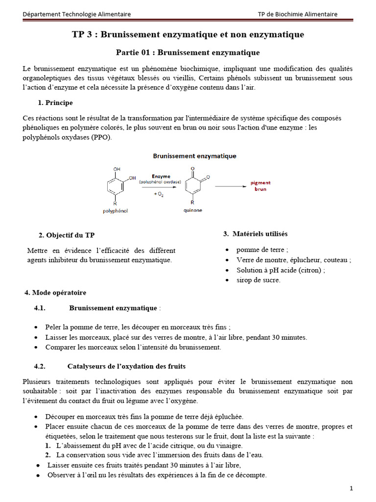 TP 03 Biochimie | PDF
