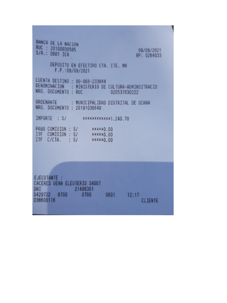 Baucher Pago | PDF