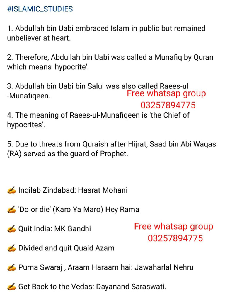 Important MCqs Islamic Study | PDF