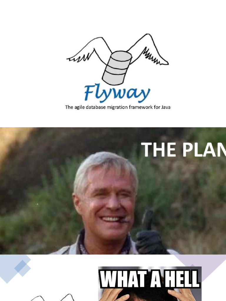Flyway | PDF