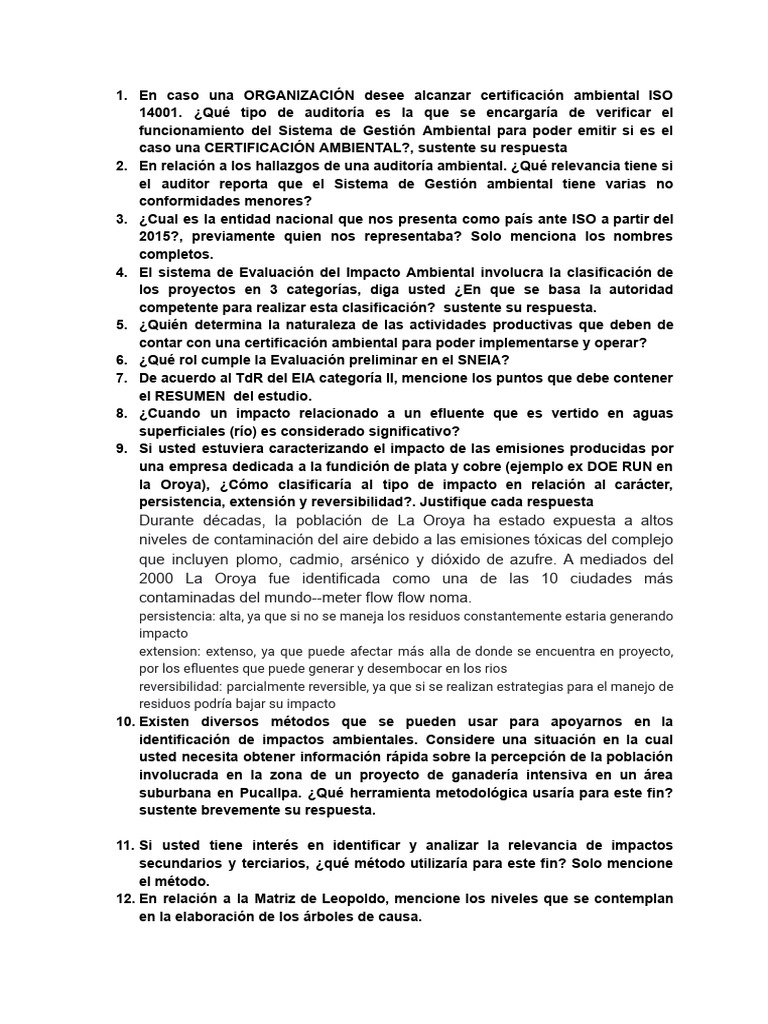 Finalito Impacto | PDF