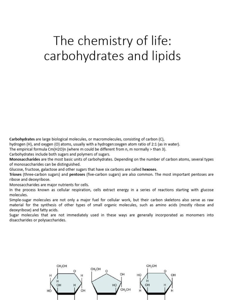 Lesson 2 And 3 The Chemistry Of Life New Pdf