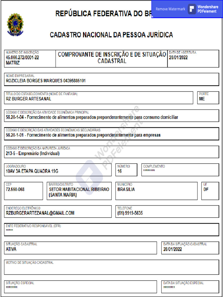 Empresário Individual | PDF