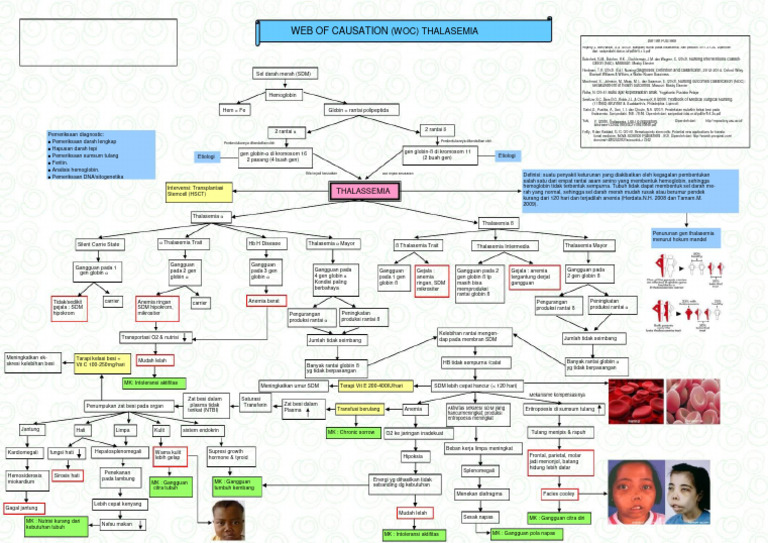 Woc Thalasemia Baru | PDF