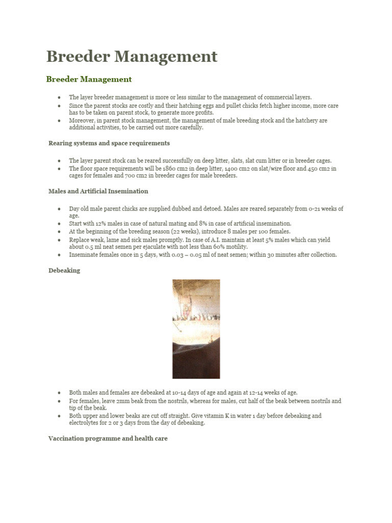 Breeder Management | Download Free PDF | Semen | Chicken
