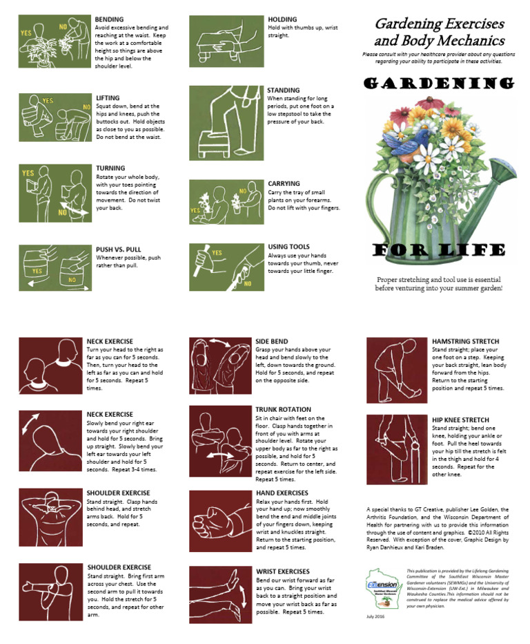 Gardening Exercises and Body Mechanics | PDF