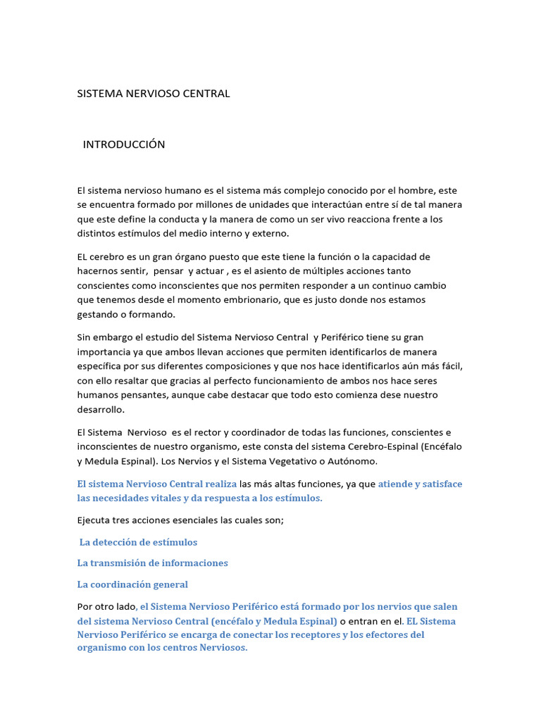 Sistema Nervioso Central | PDF | Sistema nervioso | Cerebro