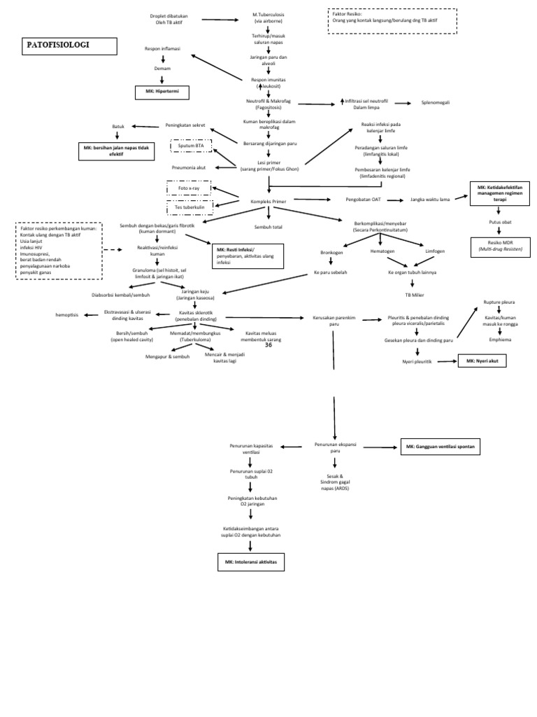 Patoflowdiagram TBC | PDF