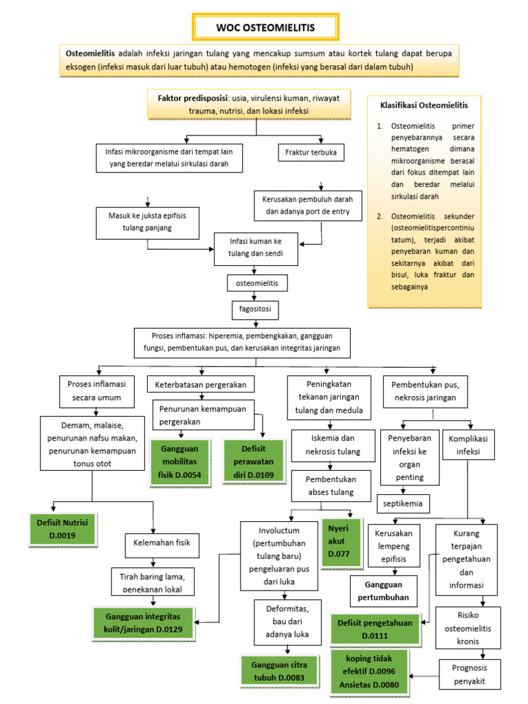 WOC Osteomilitis Taufik FIX | PDF