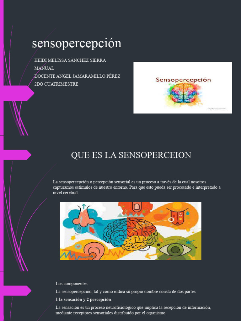 Sensopercepción Manual 123 | PDF