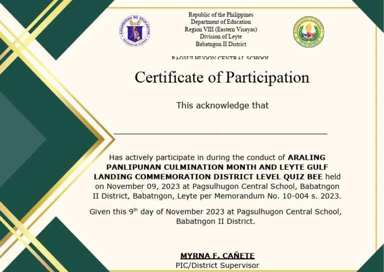 AP CERTIFICATE OF PARTICIPATION Learner | PDF