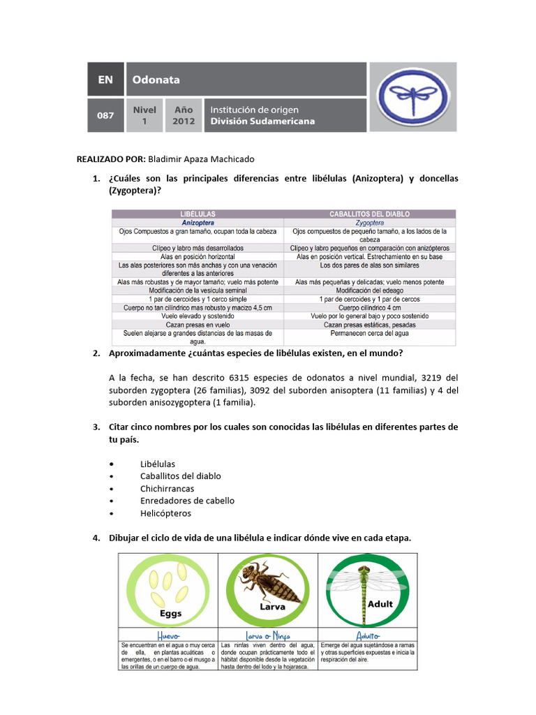 Odo Impr Mana | PDF | Libélula | Insectos