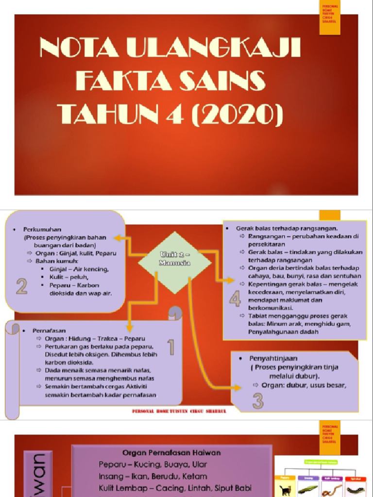 Nota Ringkas Sains Tahun 4 | PDF