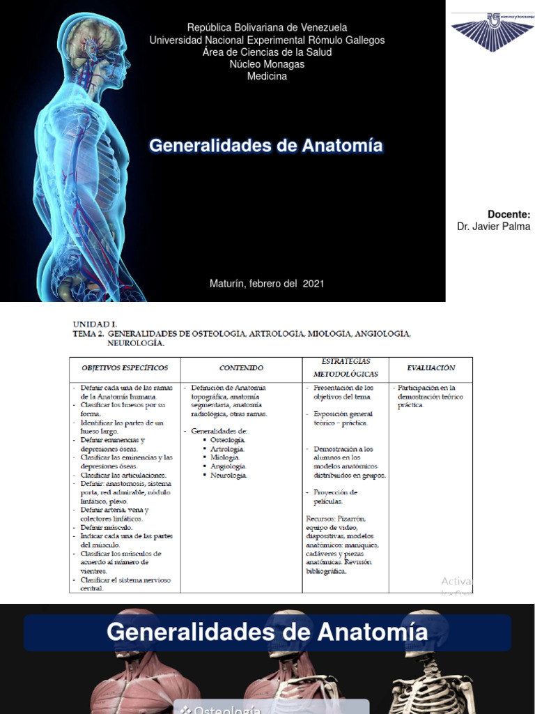 Tema 2. Generalidades Anatomía Humana-1 | PDF