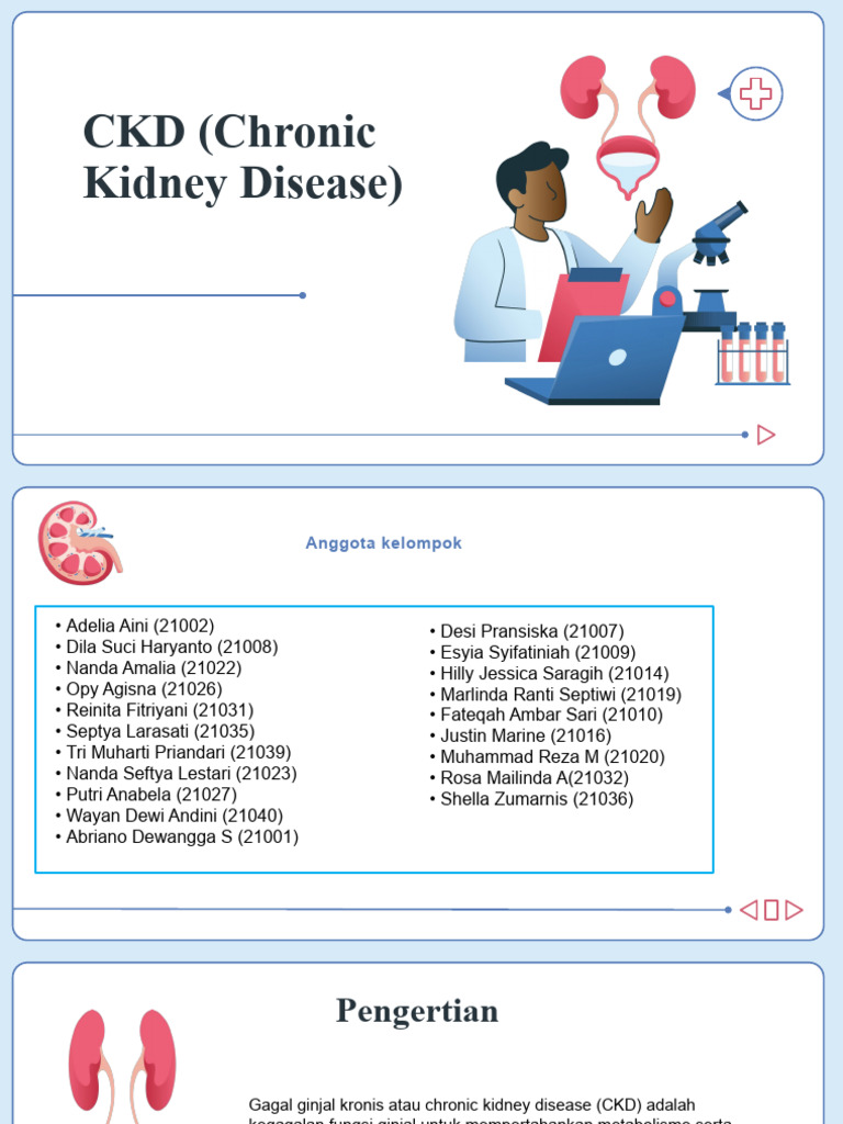 CKD Kelompok 1 | PDF