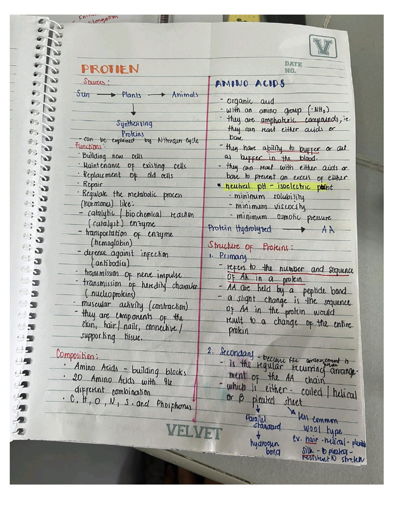 Protein Biochemistry | PDF
