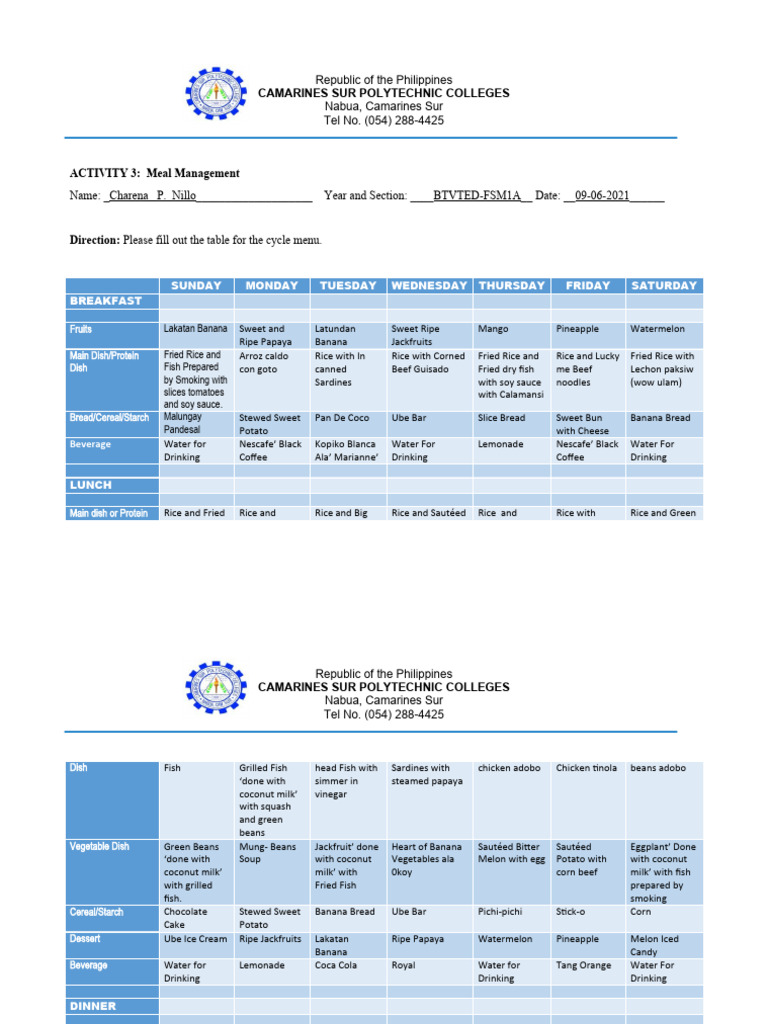 (Template) ACTIVITY 3 Meal Management | PDF