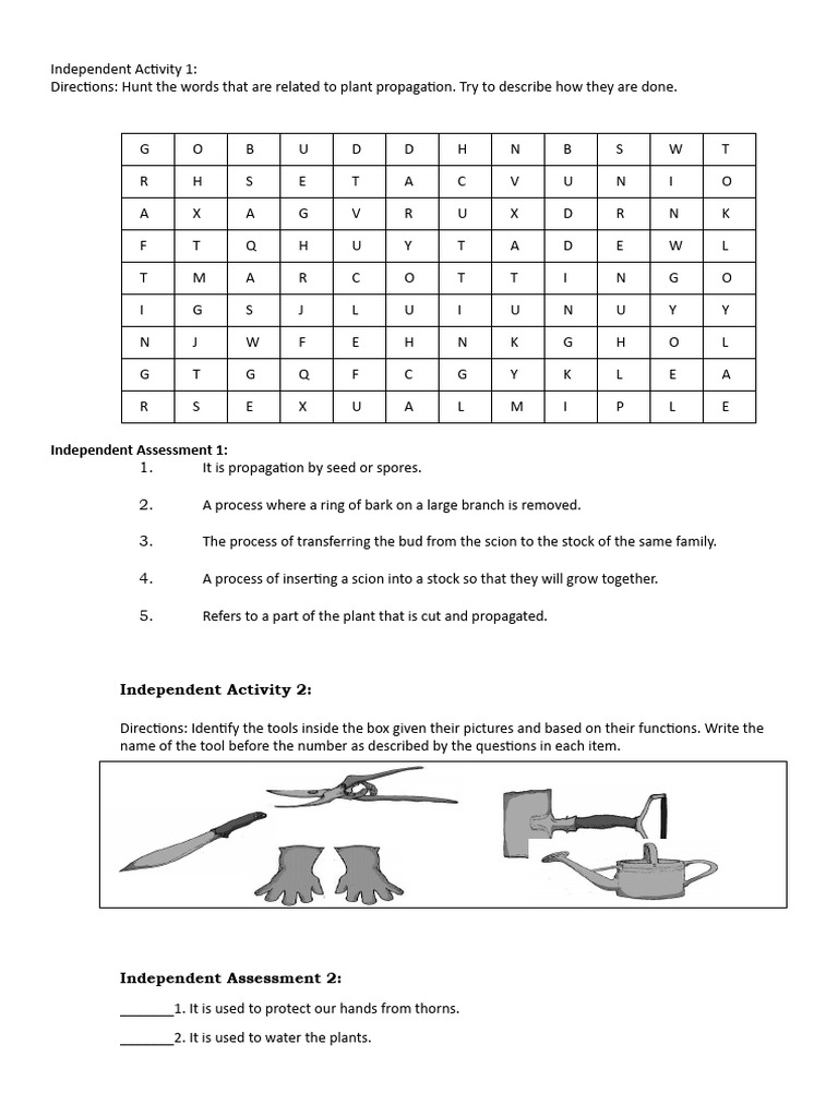 Independent Activity 1 | PDF