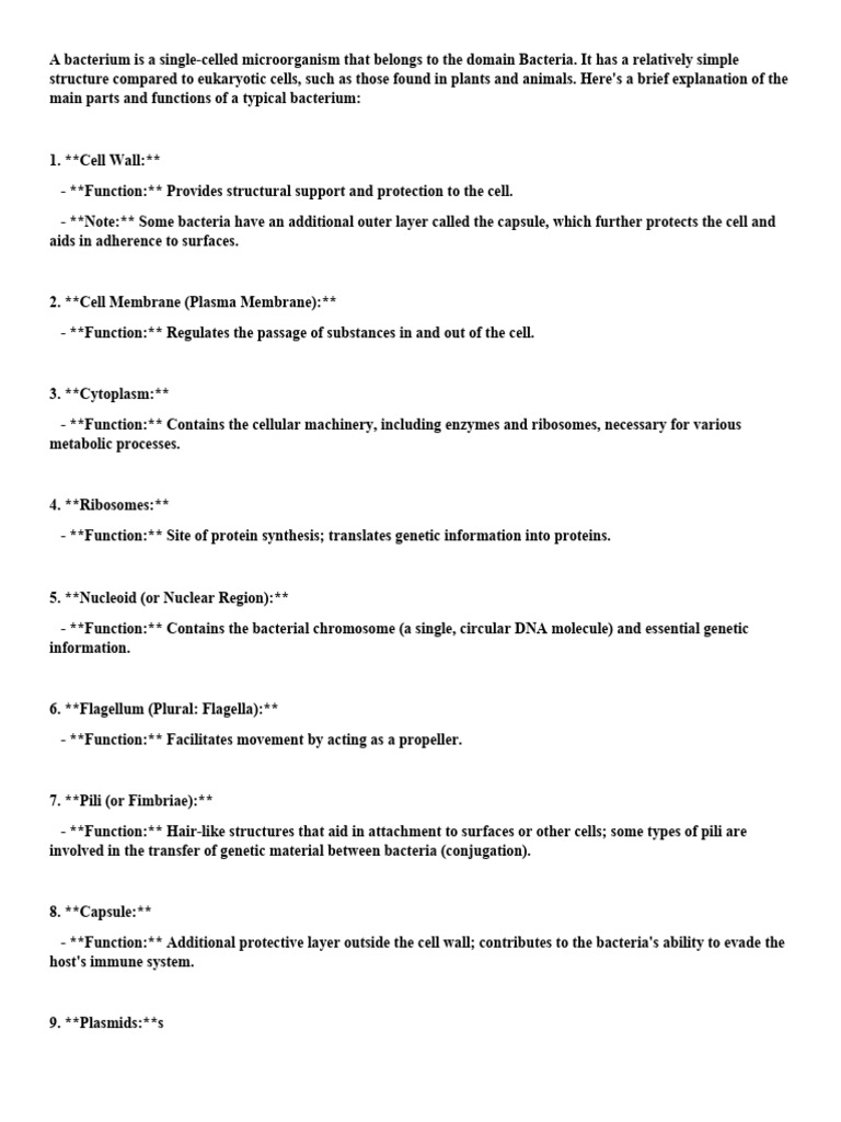 Parts and Functions of Bacterium | PDF