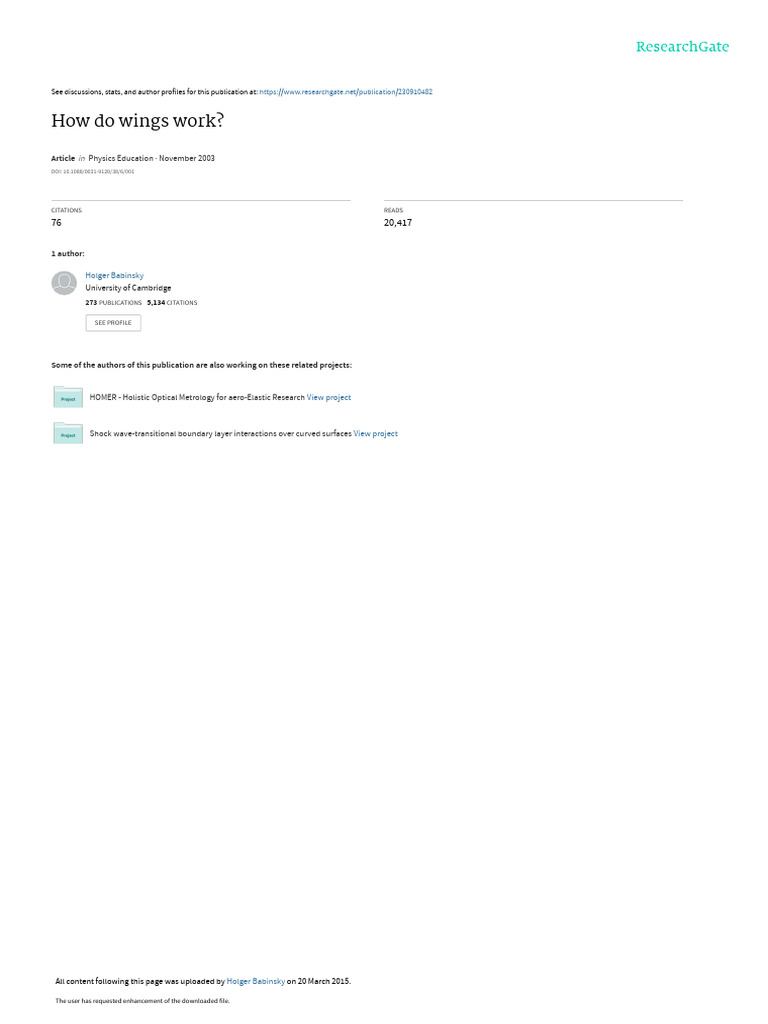 How Do Wings Work | PDF