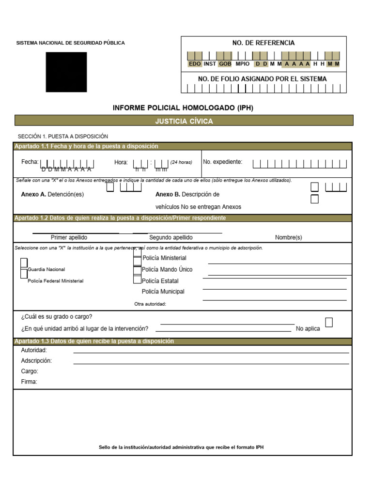 Informe Policial Homologado (IPH) | PDF