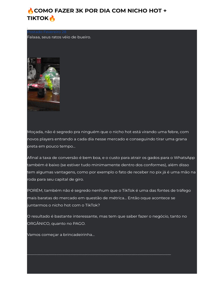 ?como Fazer 3k Por Dia Com Nicho Hot + Tiktok? | PDF