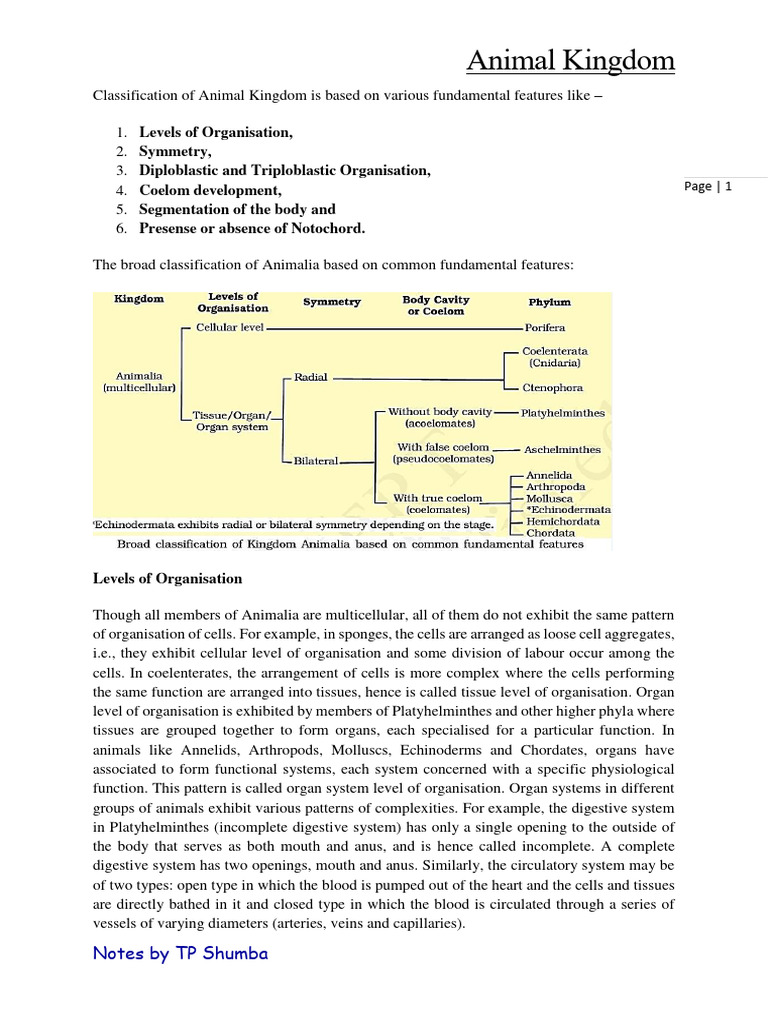 Animal Kingdom Classification | PDF | Anatomy | Zoology