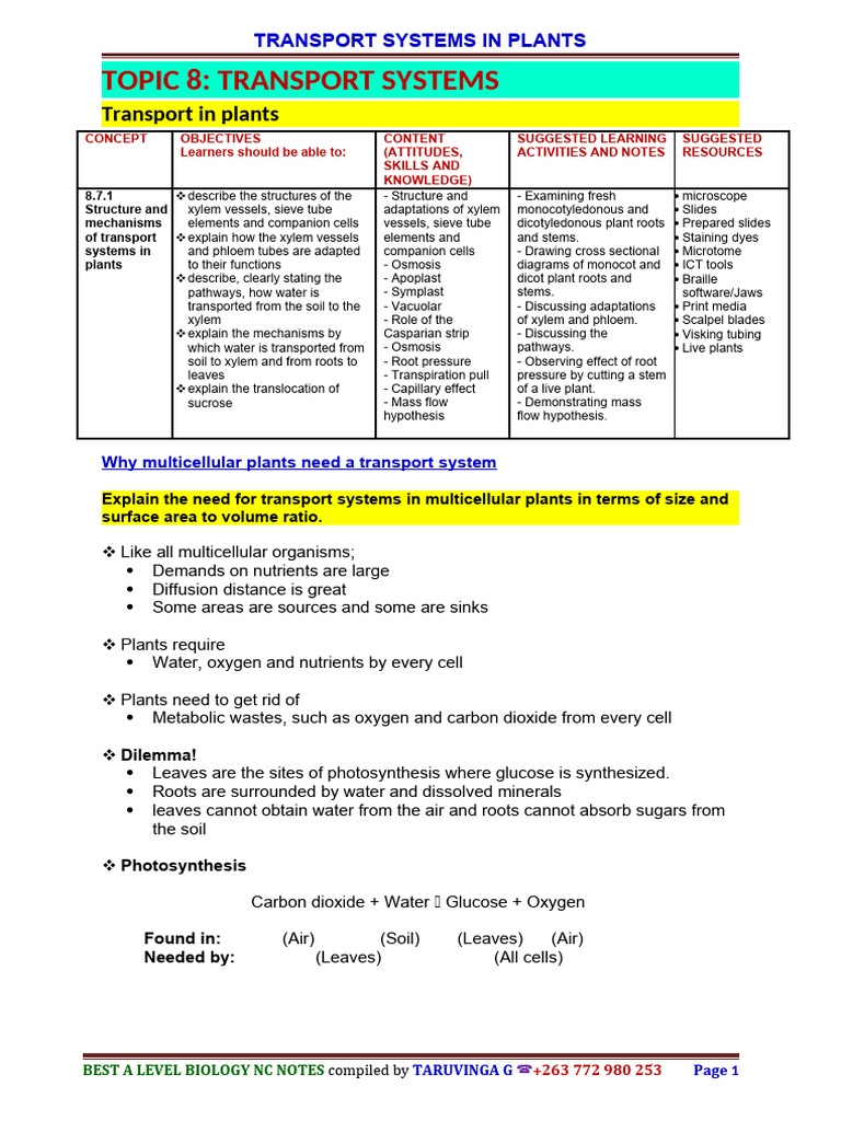 Topic 8 Transport Systems in Plants My Notes Revised 2 | PDF