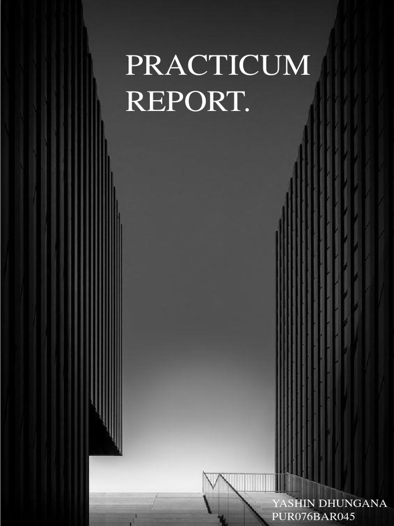 Practium Report Yashin Final | PDF | Architect | Internship