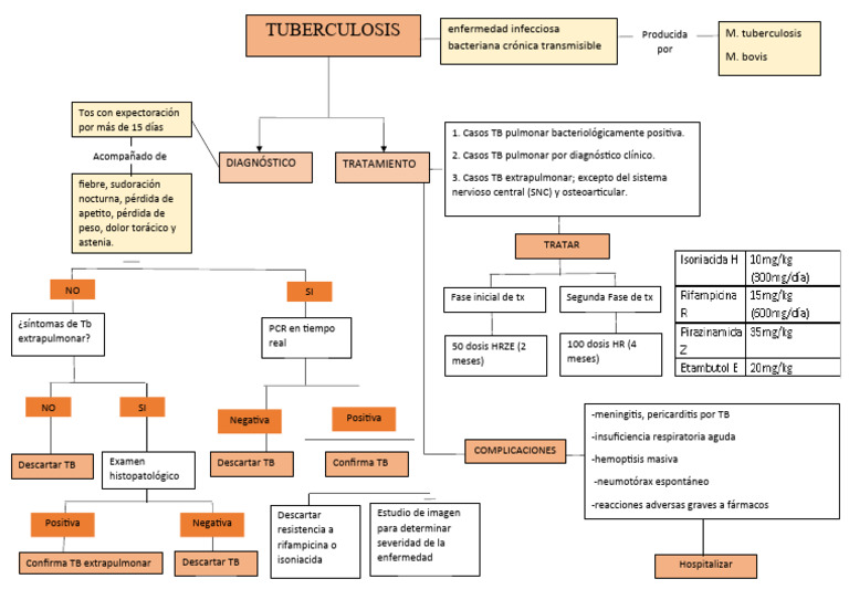 Algoritmo TB | PDF | Tuberculosis | Cuidado de la salud