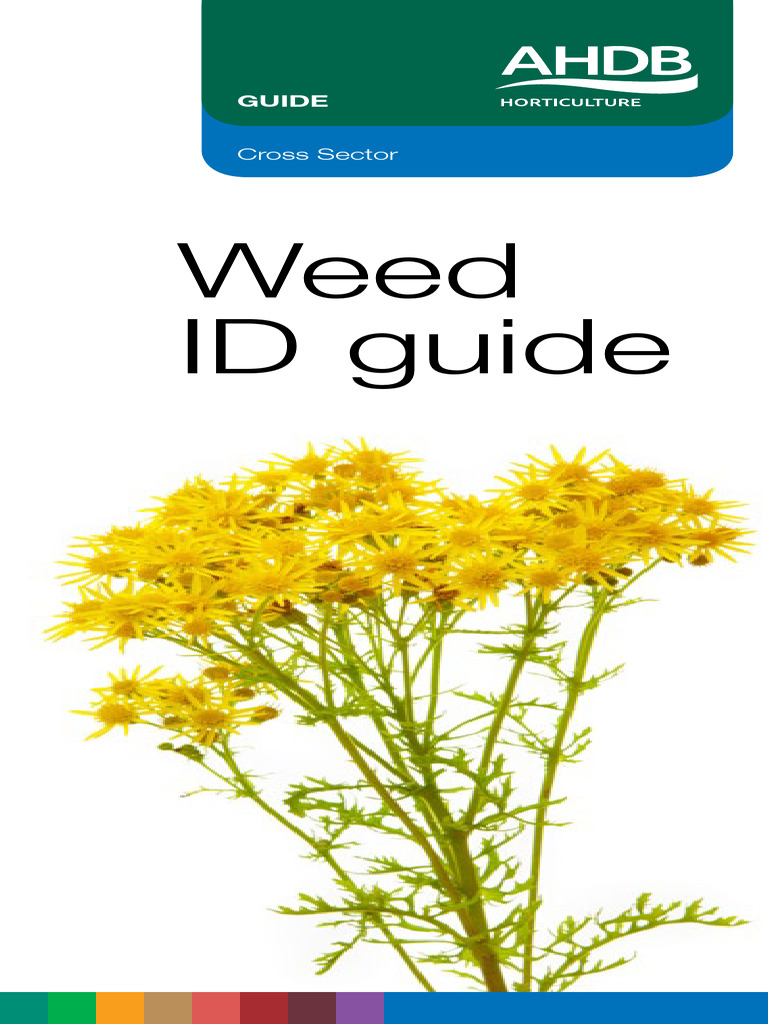 Weed Identification Pocket Guide | PDF