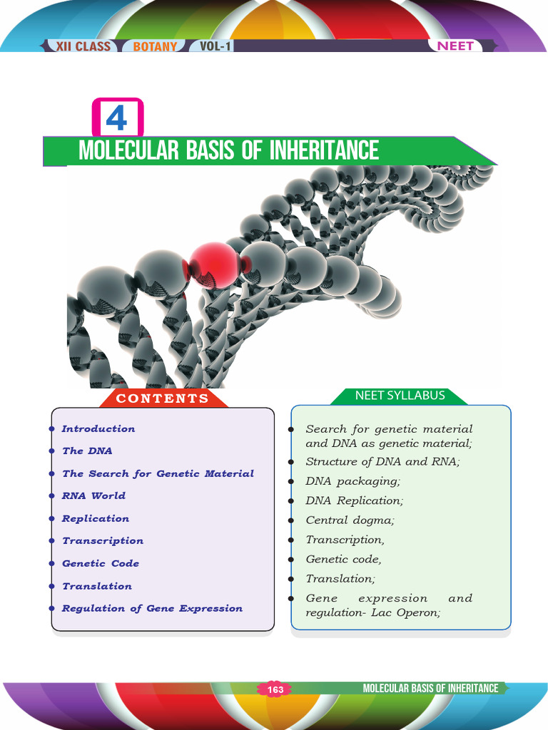Molecular Basis of Inheritance | PDF | Dna | Nucleic Acids