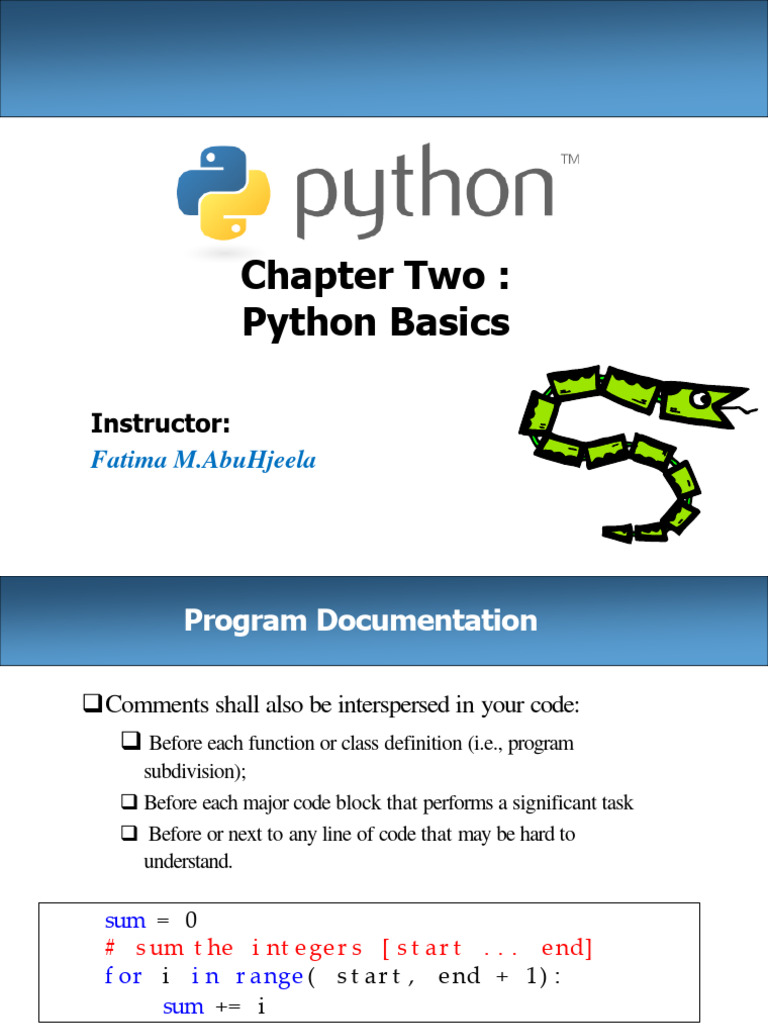 Chapter Two - Python Basics | PDF