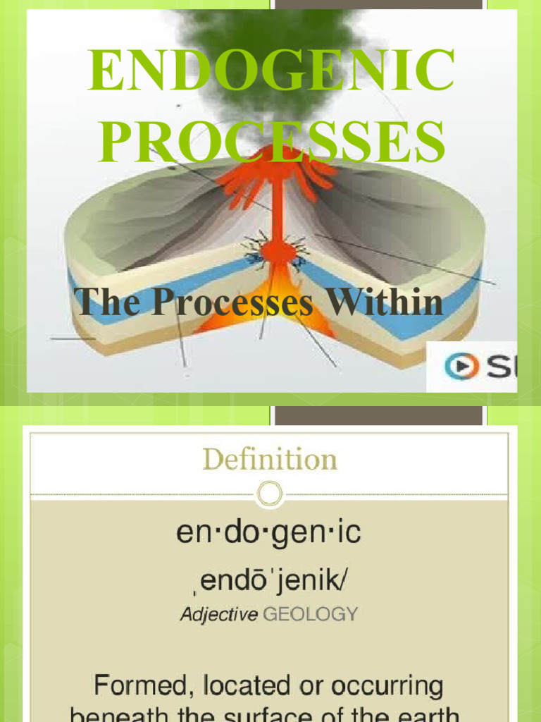 Endogenic Processes | PDF