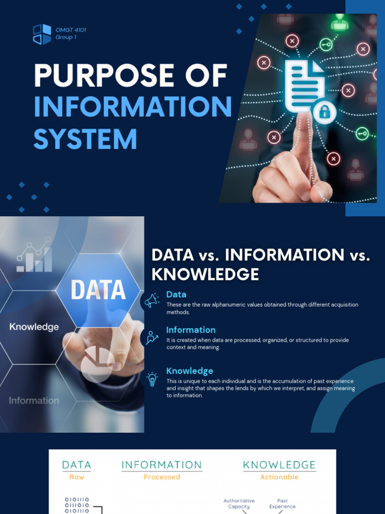 MIS Reporting | PDF | Application Software | Computer Hardware
