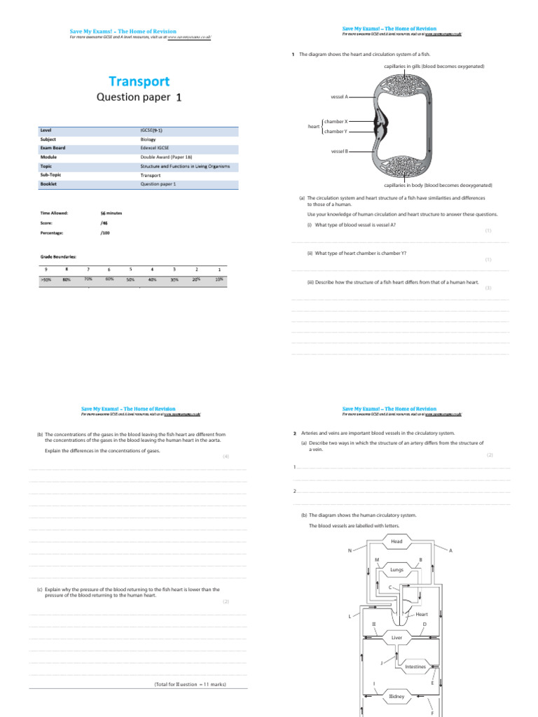10.1-Transport-1b-Igcse - 9-1 - Edexcel-Biology Animal | PDF