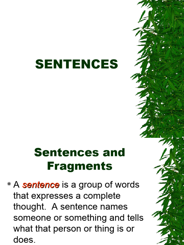 1 Sentences | PDF | Sentence (Linguistics) | Subject (Grammar)