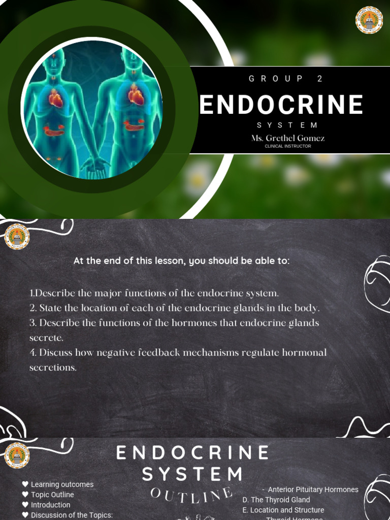 Endocrine | PDF | Wellness