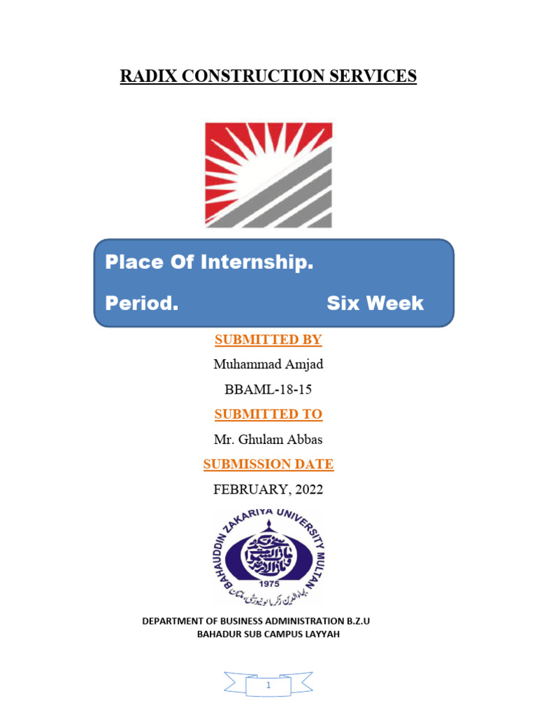 Amjad Internship Report | PDF