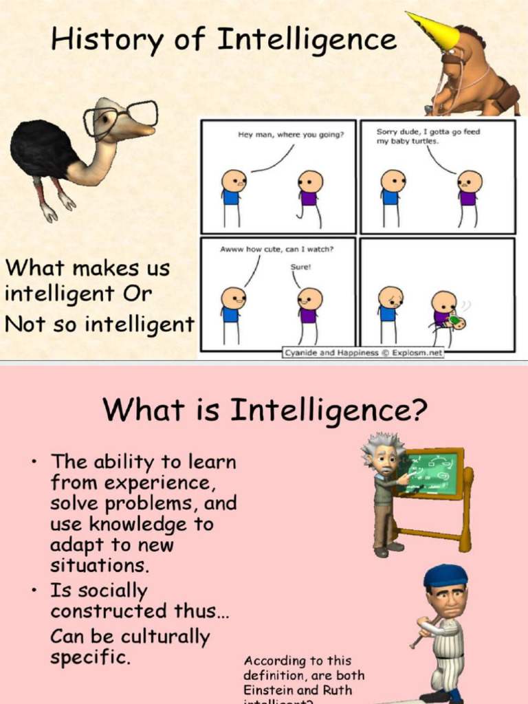 William Stern Report | PDF