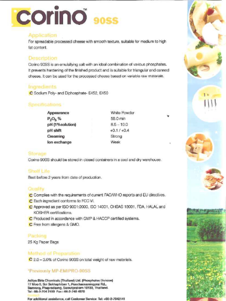 CORINO Datasheet Application 90SS | PDF