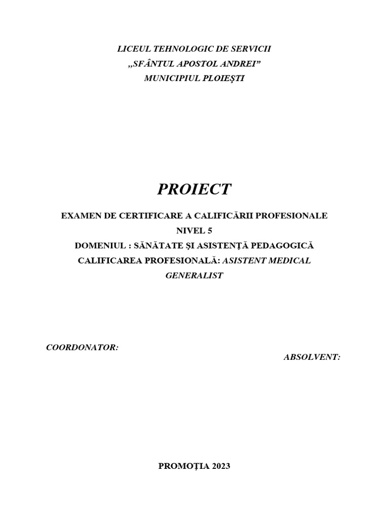 Plan Proiect 2024 | PDF