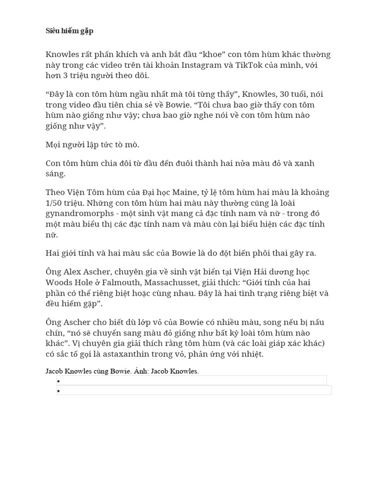 Siêu hi ếm gặp: Jacob Knowles cùng Bowie. Ảnh: Jacob Knowles | PDF