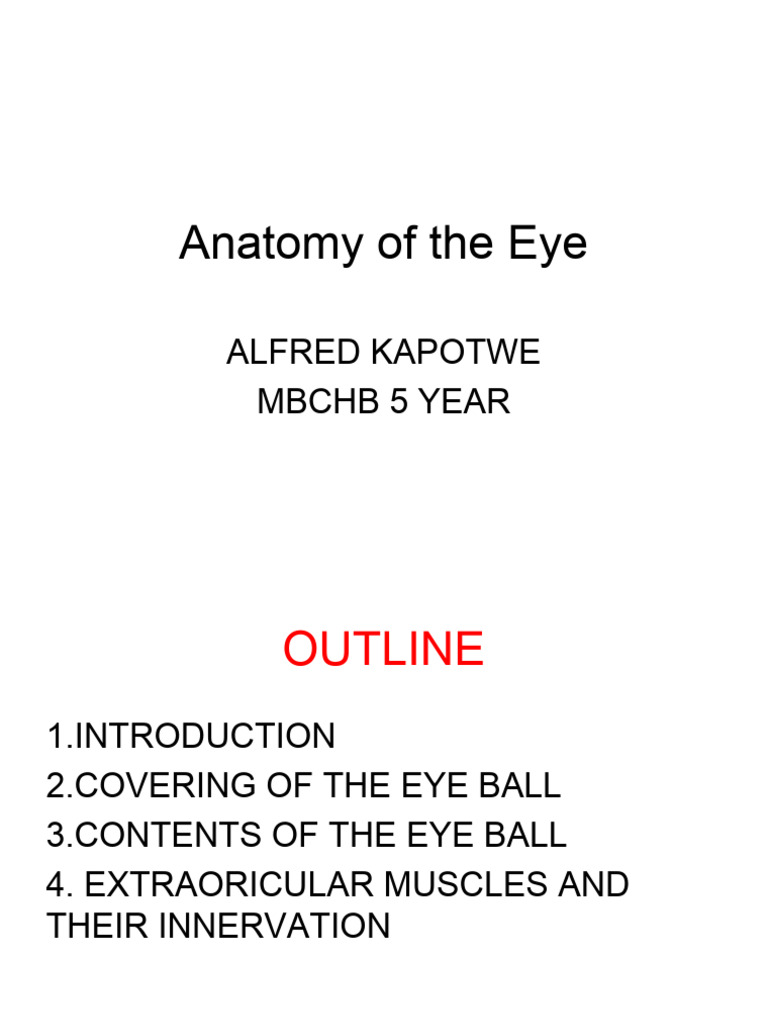 Eye Anatomy | PDF