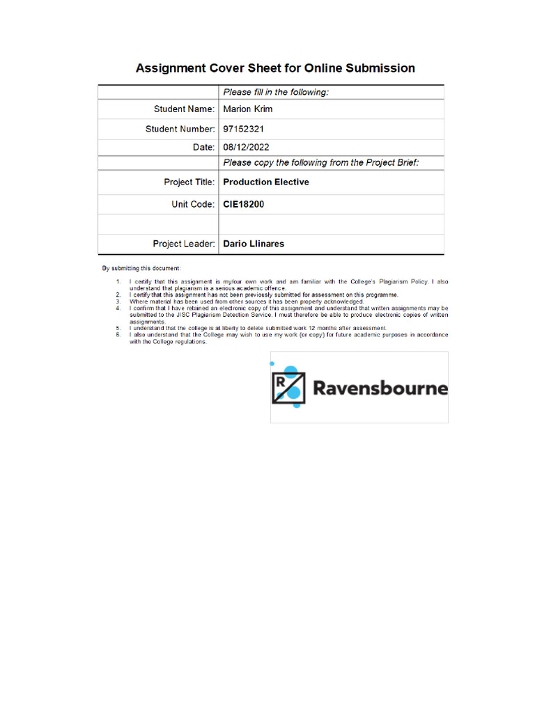Rave Unit - Critical Self-Reflection | PDF